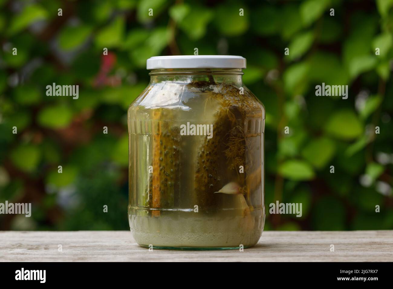 Homemade pickles in a jar, pickled. Natural immunity of the body Stock ...