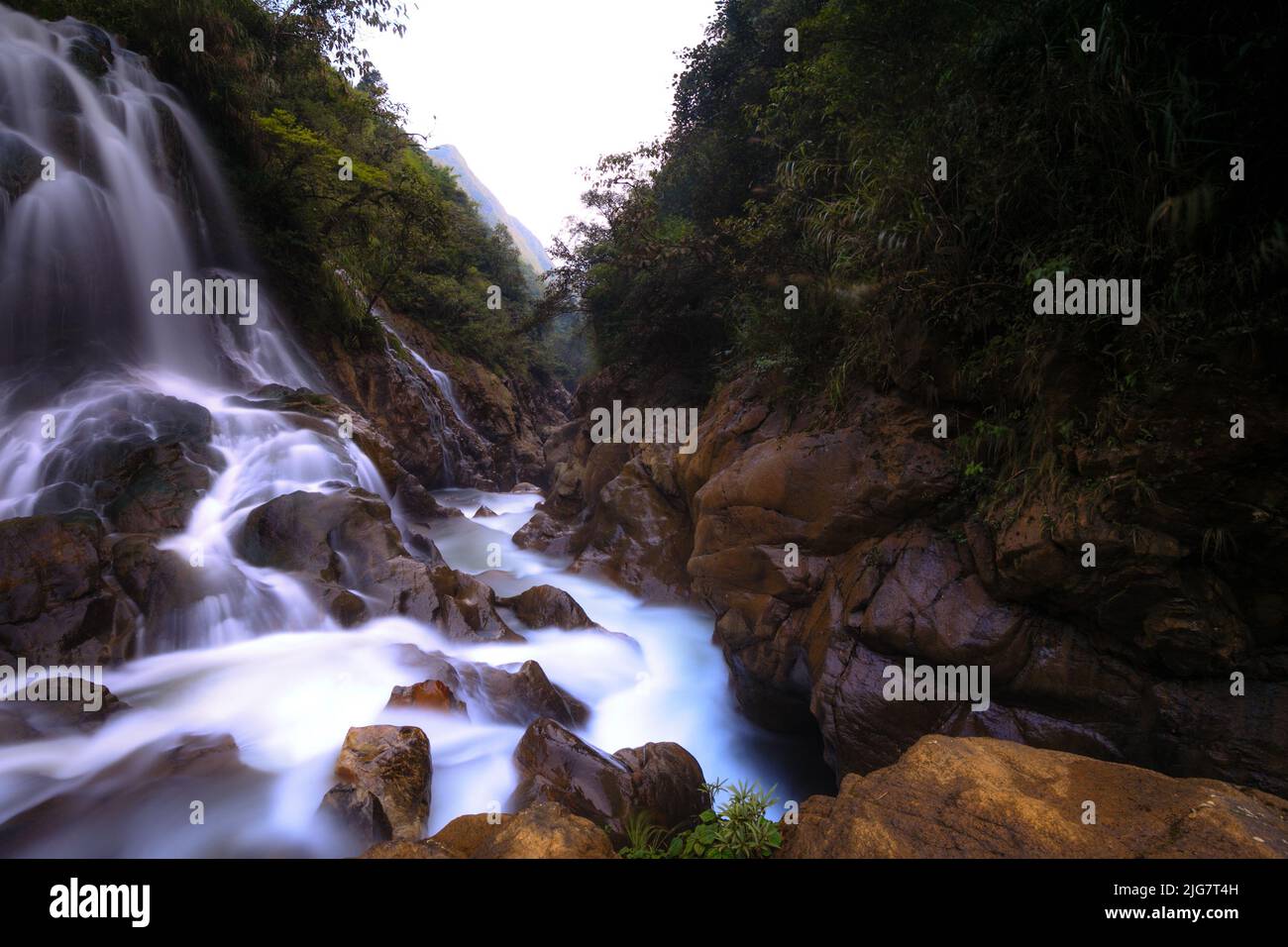 Stream in the rainforest. Amazing peaceful and relaxing mountain nature ...