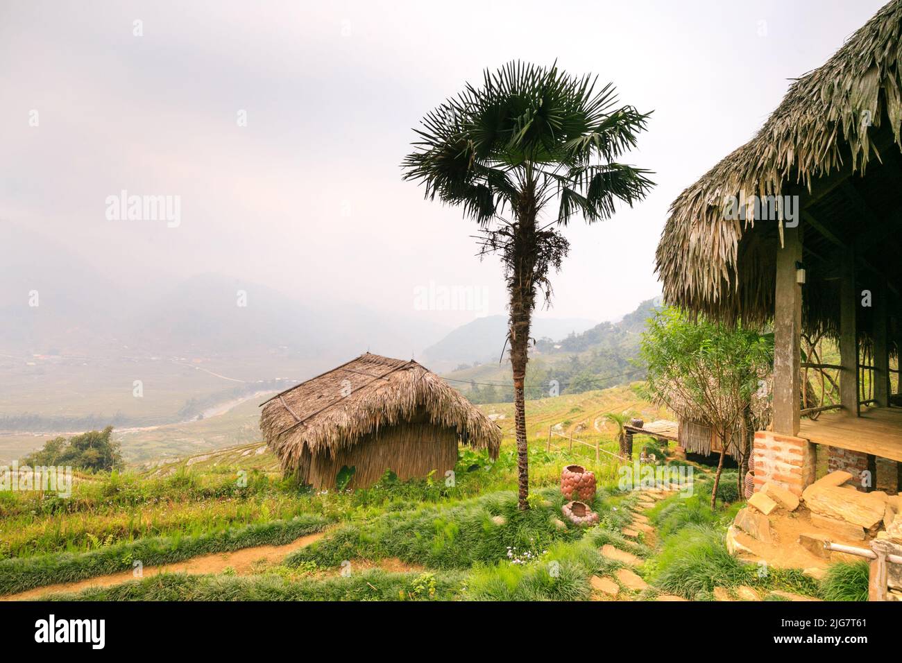 Vietnam countryside scene, Palm tree, house with thatched roof for Sapa ...