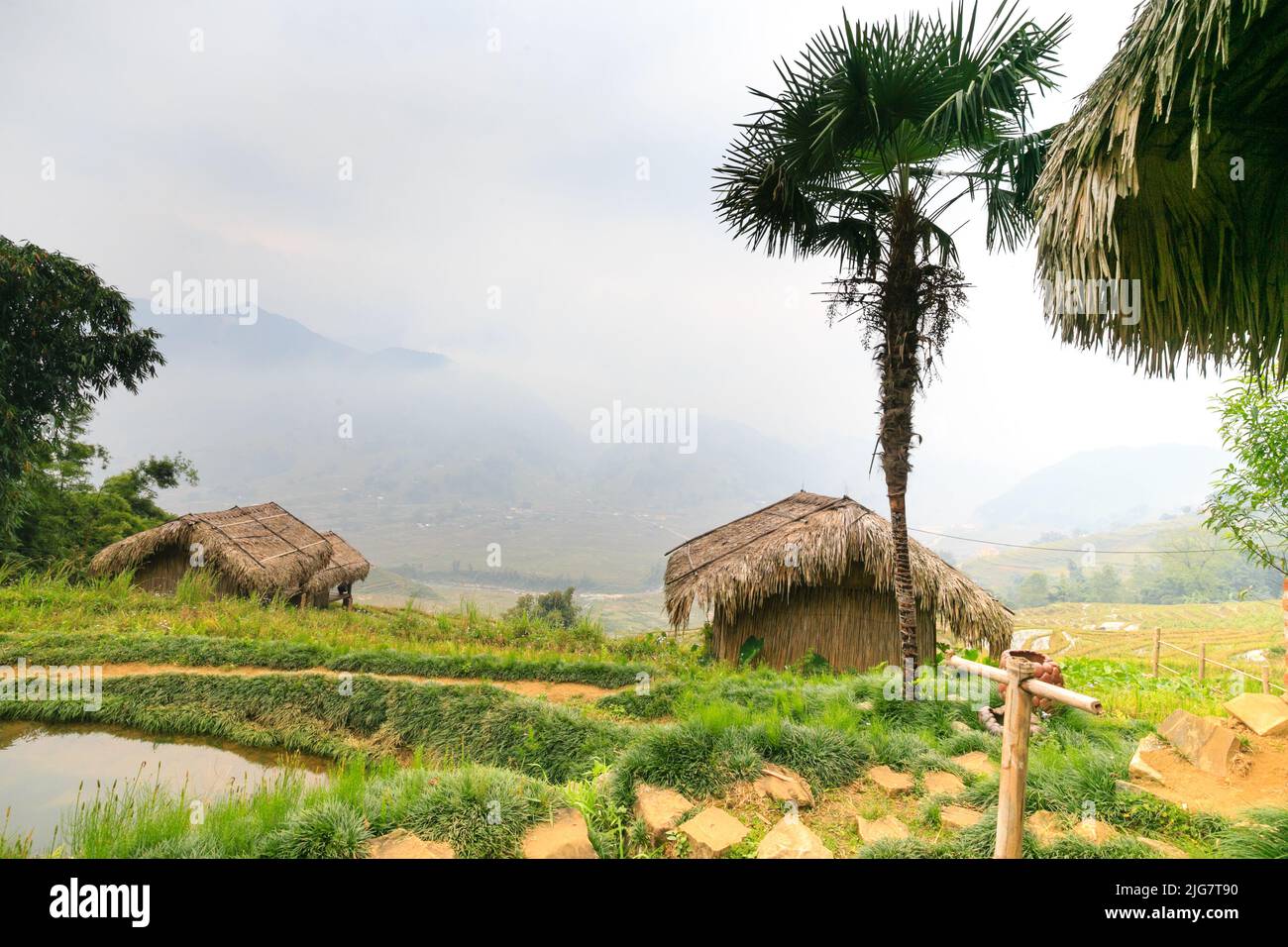 Vietnam countryside scene, Palm tree, house with thatched roof for Sapa ...