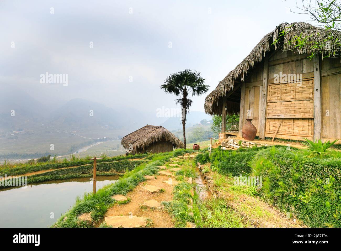 Vietnam countryside scene, Palm tree, house with thatched roof for Sapa ...