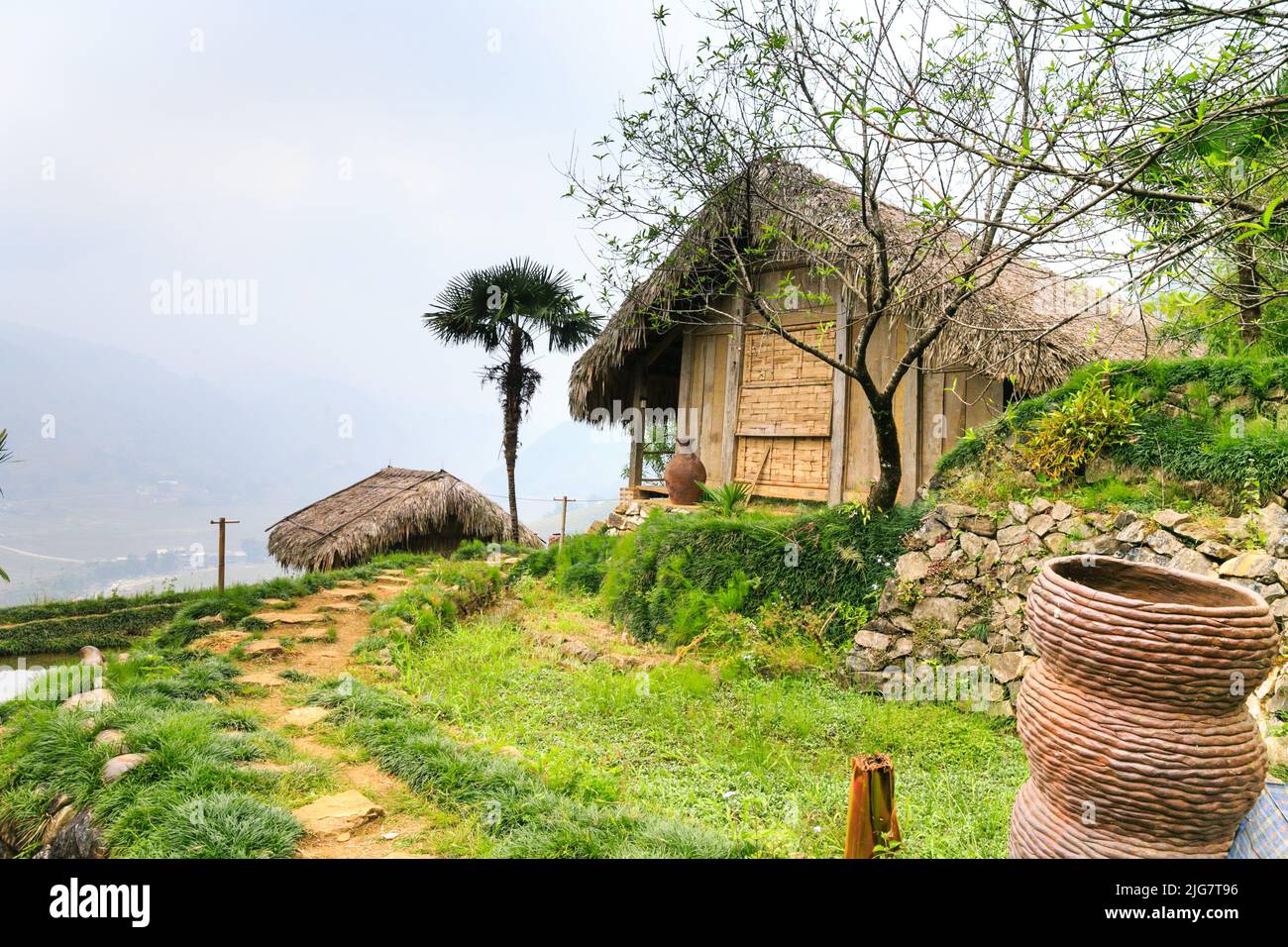 Vietnam countryside scene, Palm tree, house with thatched roof for Sapa ...