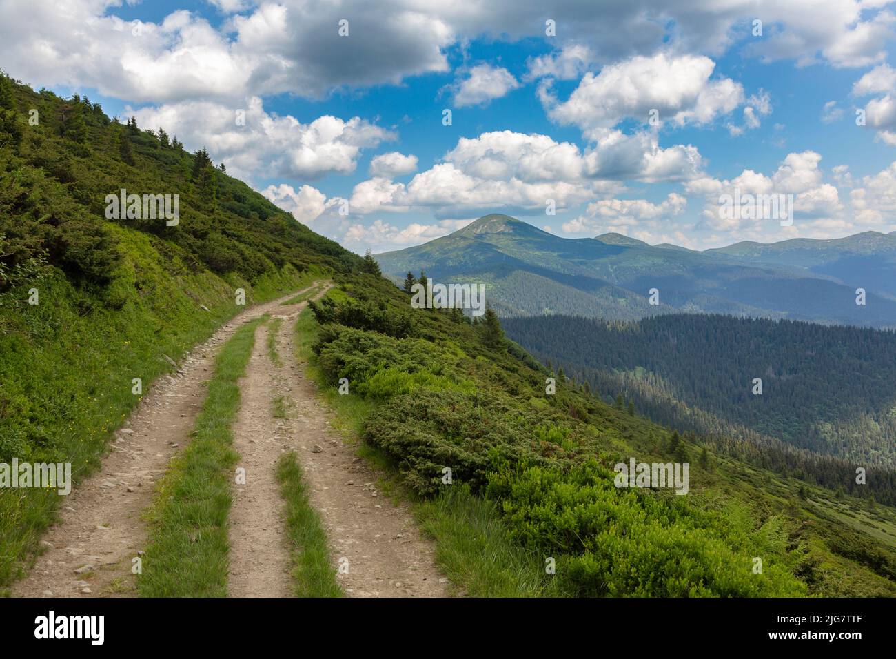 Road to the Mount Hoverla is covered with green grass and stones on a ...