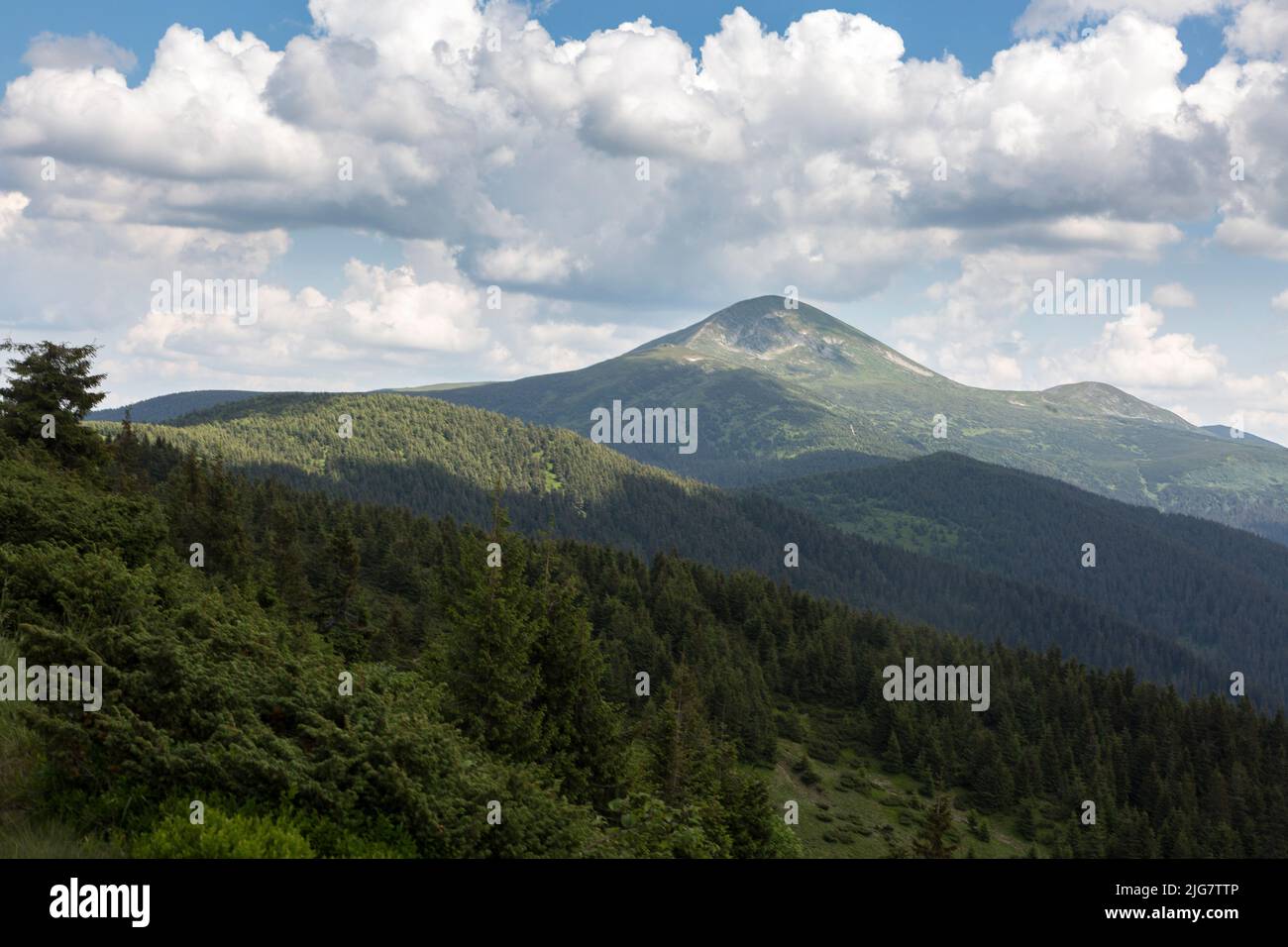 The top of Mount Hoverla is covered with green grass and stones on a ...