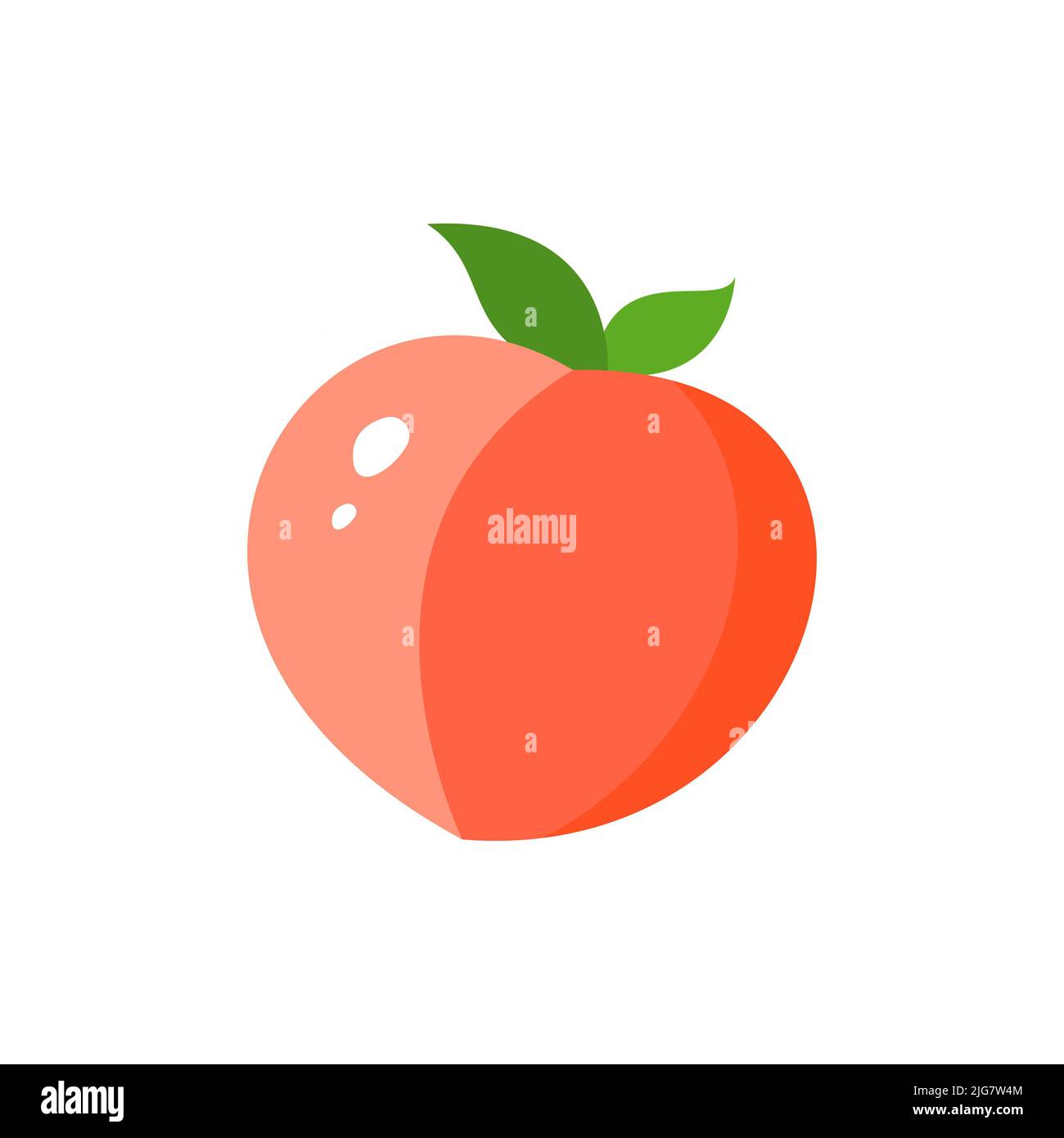 Peach nectarine fruit vector color icon. EPS 10. Tropical fruits ...