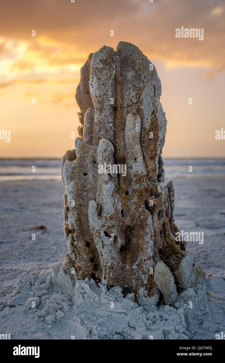 A vertical shot of rock formation on the beach in Clearwater, Florida ...