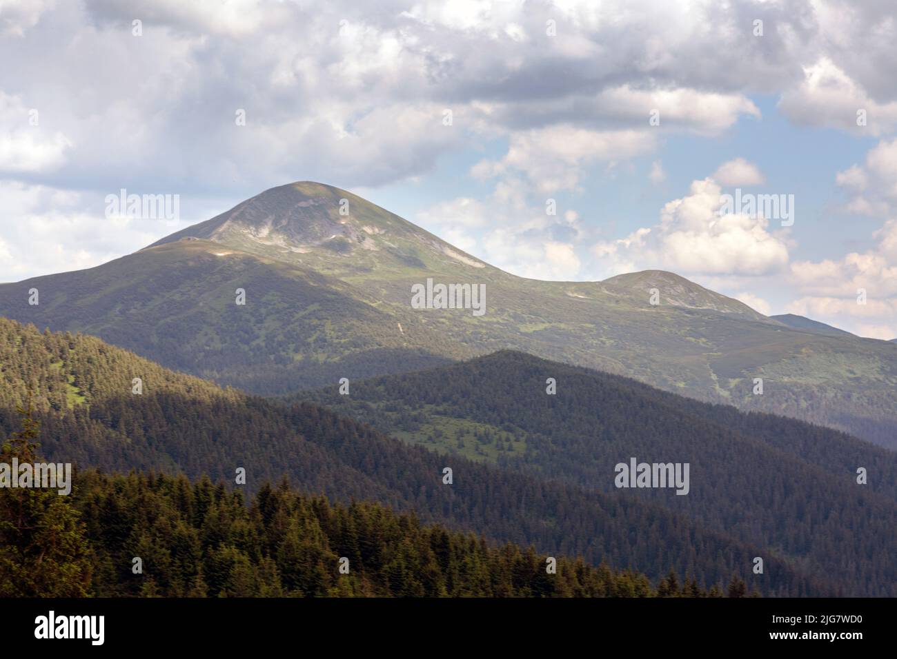 The top of Mount Hoverla is covered with green grass and stones on a ...