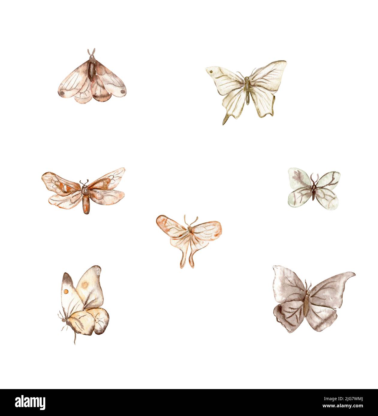 Seamless watercolor background butterflies Cut Out Stock Images ...