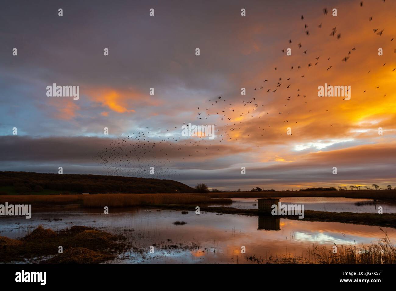 A scenic view of a flock of birds flying over a tranquil lake during a ...