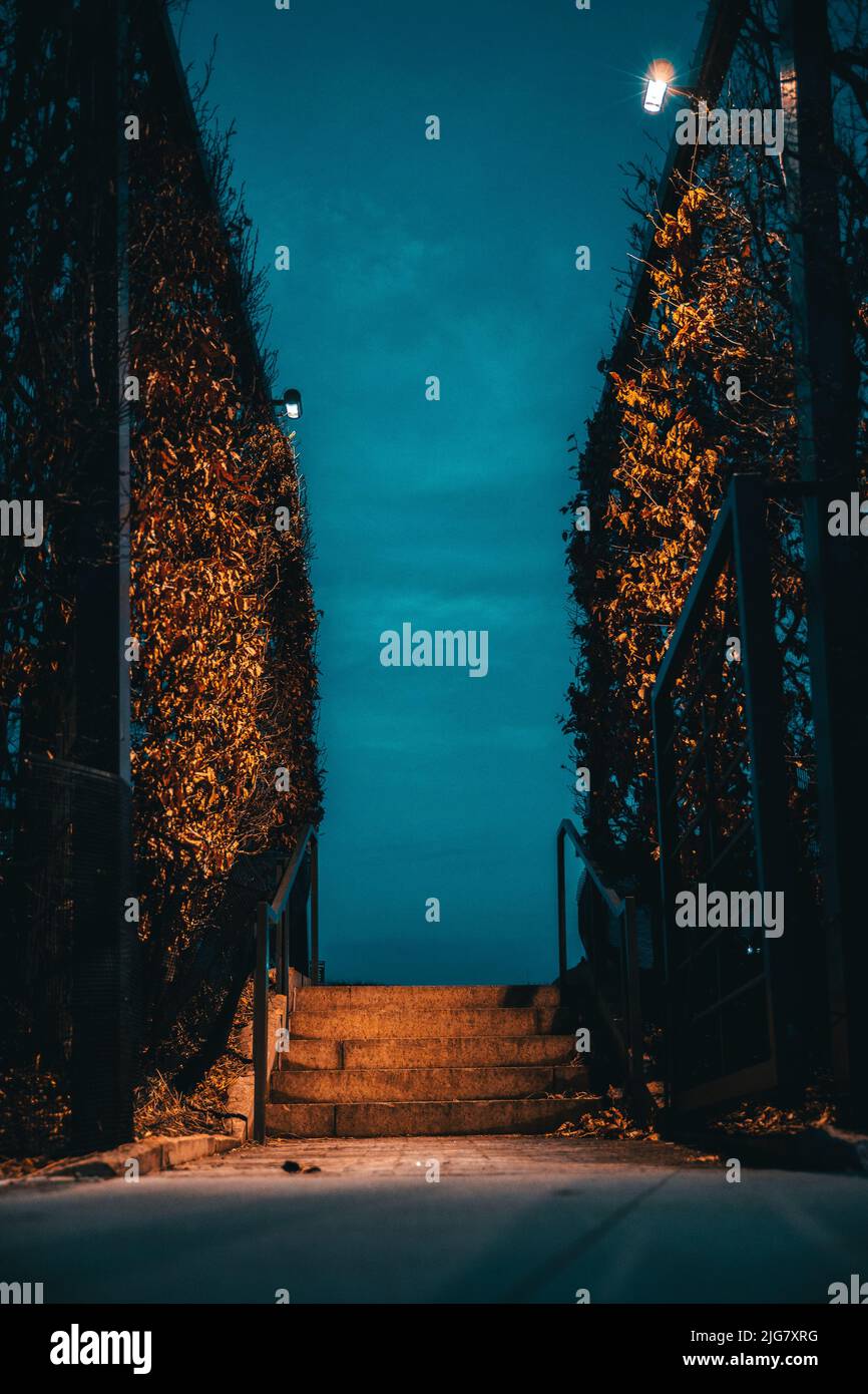 A vertical shot of a park entrance with metal fences and a staircase at ...