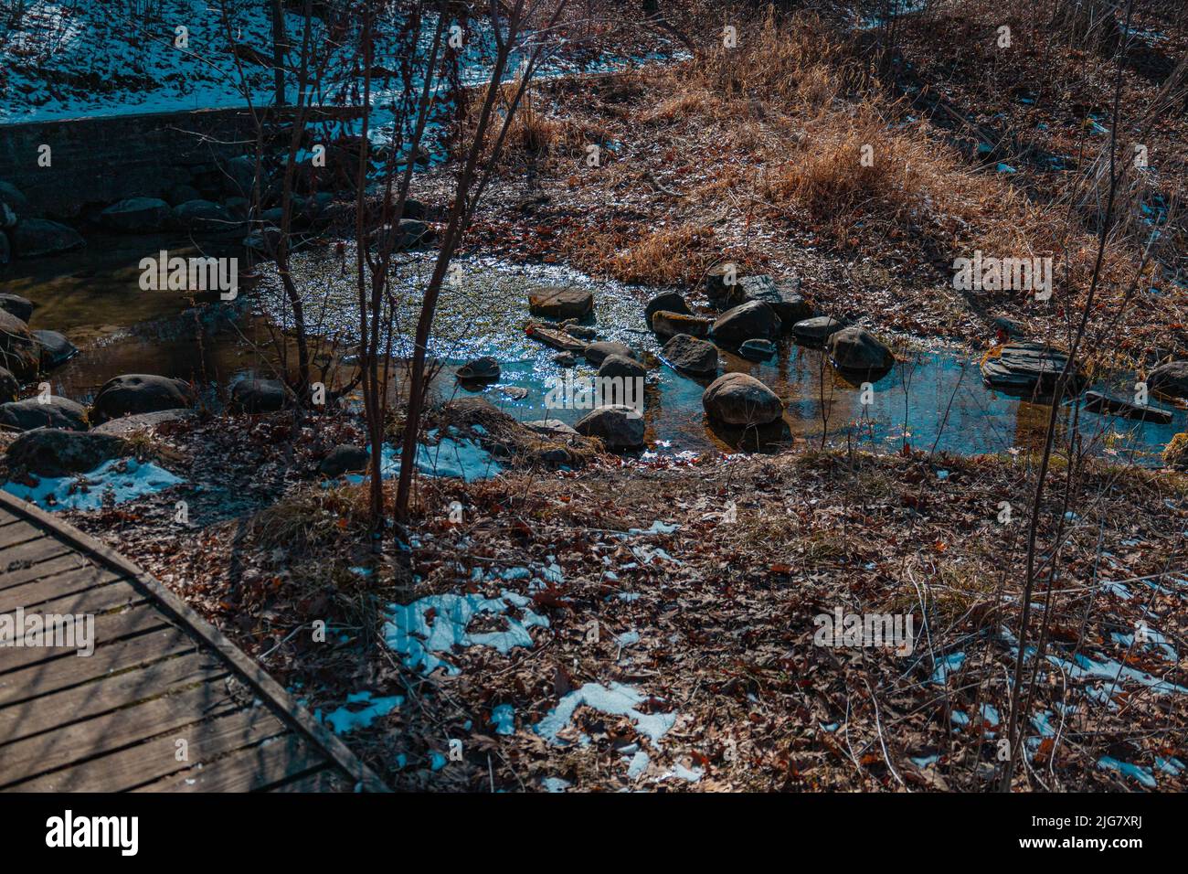 A beautiful shot of few rocks and fallen autumn leaves in the shallow ...