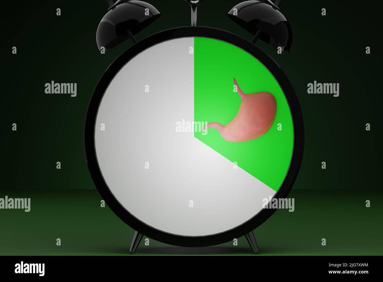 Interval nutrition concept. Alarm clock with a stomach on the dial and ...