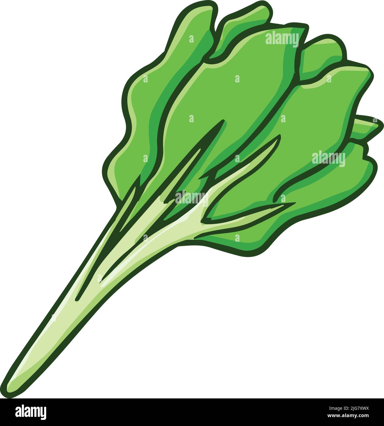 A simple clip art of salad leaves on a white background Stock Vector ...