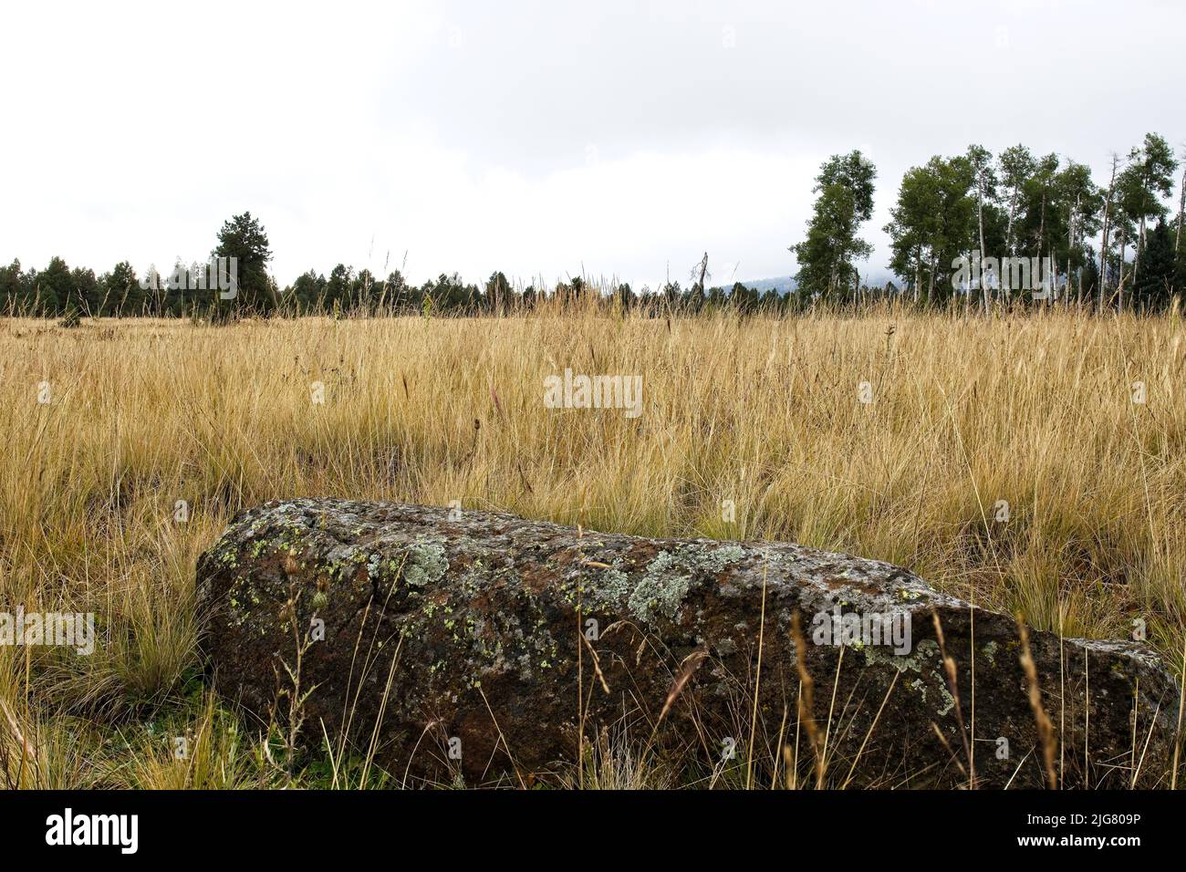 Ancient lichen cover boulder in a field with clouds in the sky Stock ...