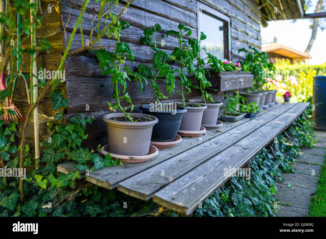 Garden Shed with Tools and Flower Potts in Lower Bavaria Germany Stock ...