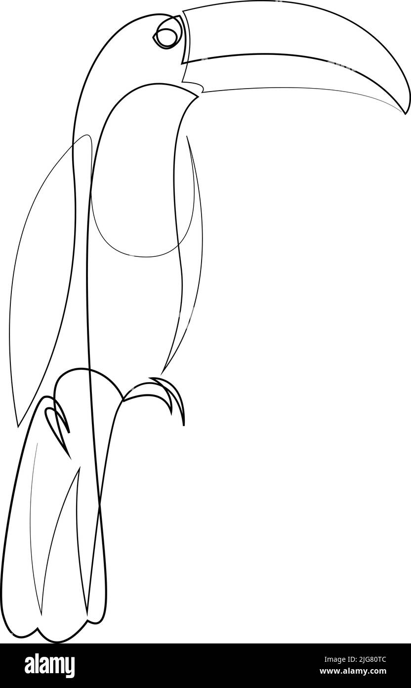 Toco Toucan Line Drawing