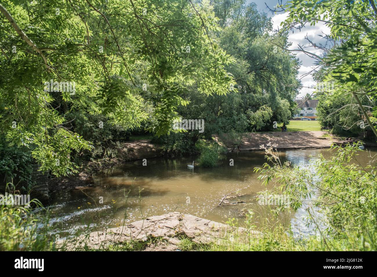 Nantwich Stock Photography Town Sunny Day, ledge, Park landscape, walk ...