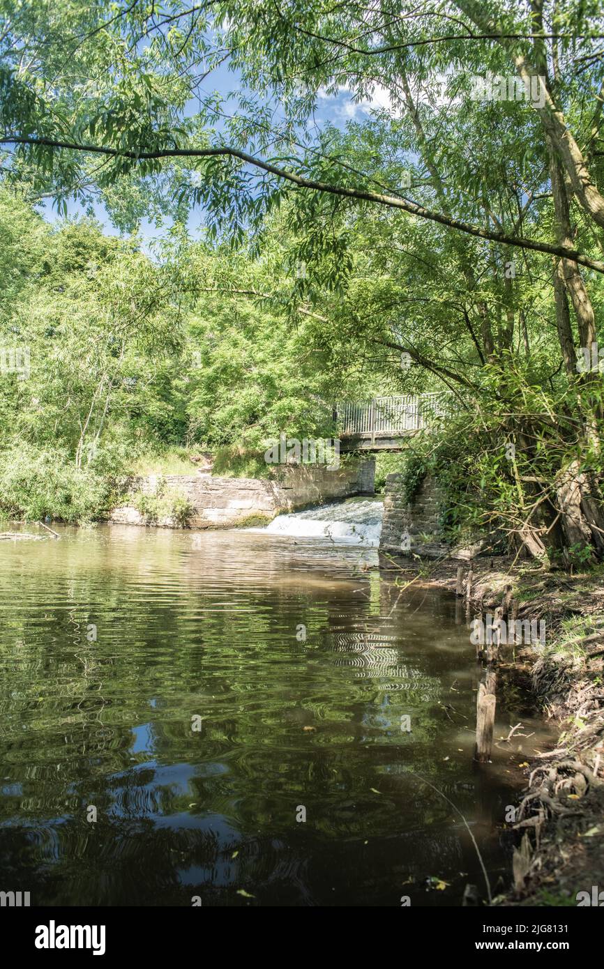 River reaver hi-res stock photography and images - Alamy