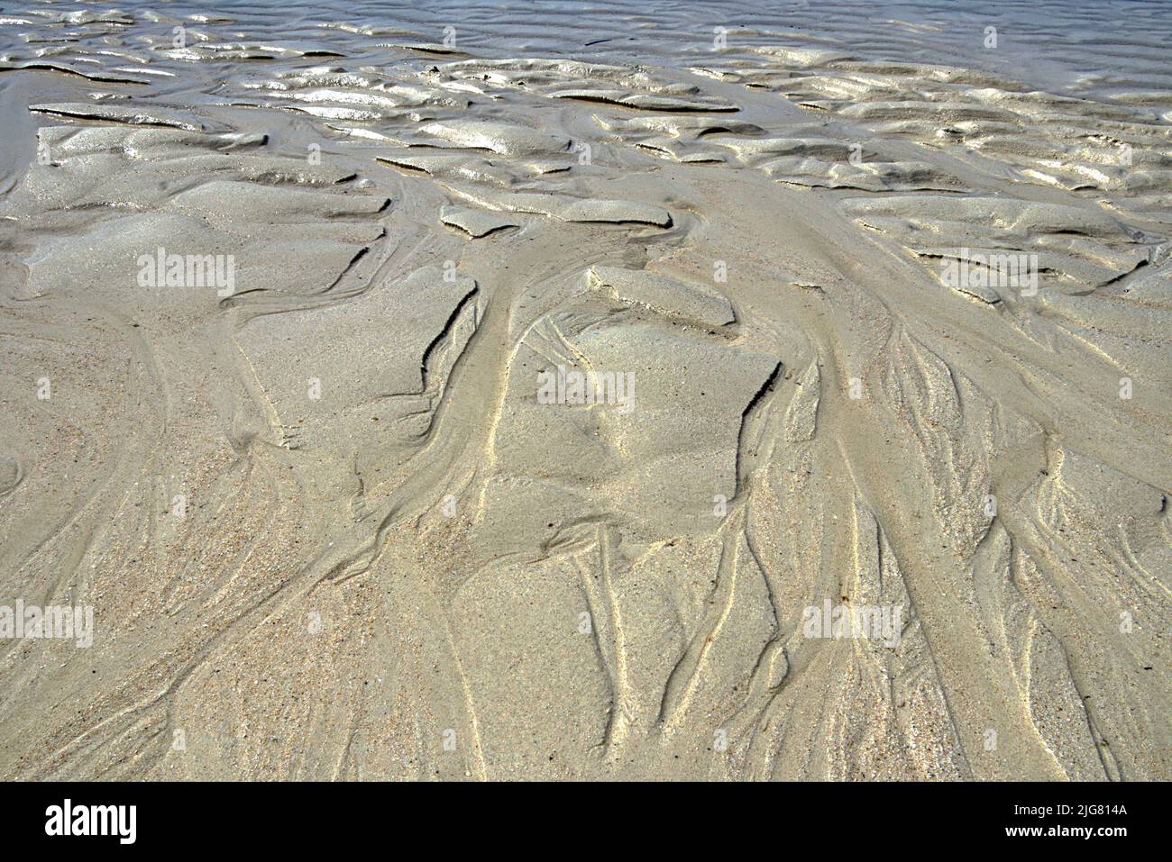 Oase im hintergrund hi-res stock photography and images - Alamy