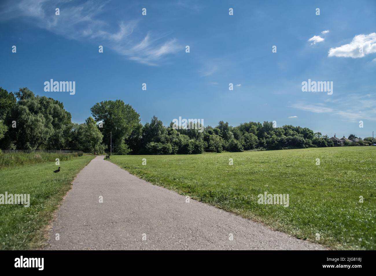 Nantwich Stock Photography Town Sunny Day, Park, landscape, walk, path ...