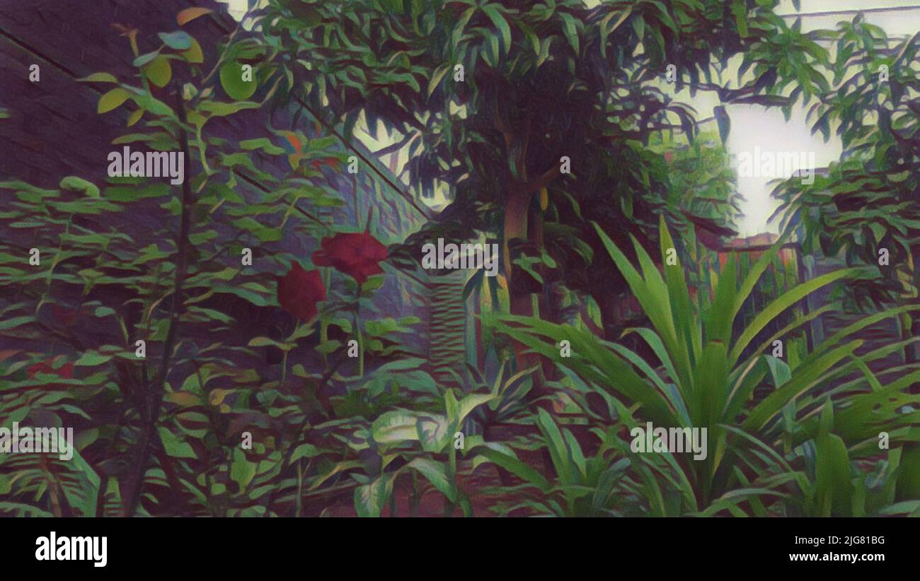 An oil paint illustration of plants growing in garden Stock Photo - Alamy