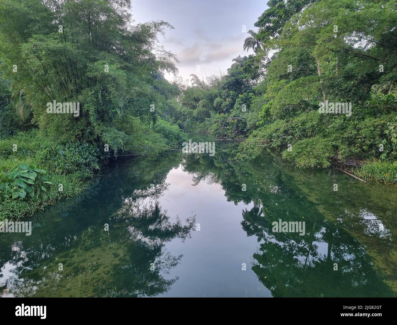View looking up river from the iconic spring bridge in Blanchisseuse ...