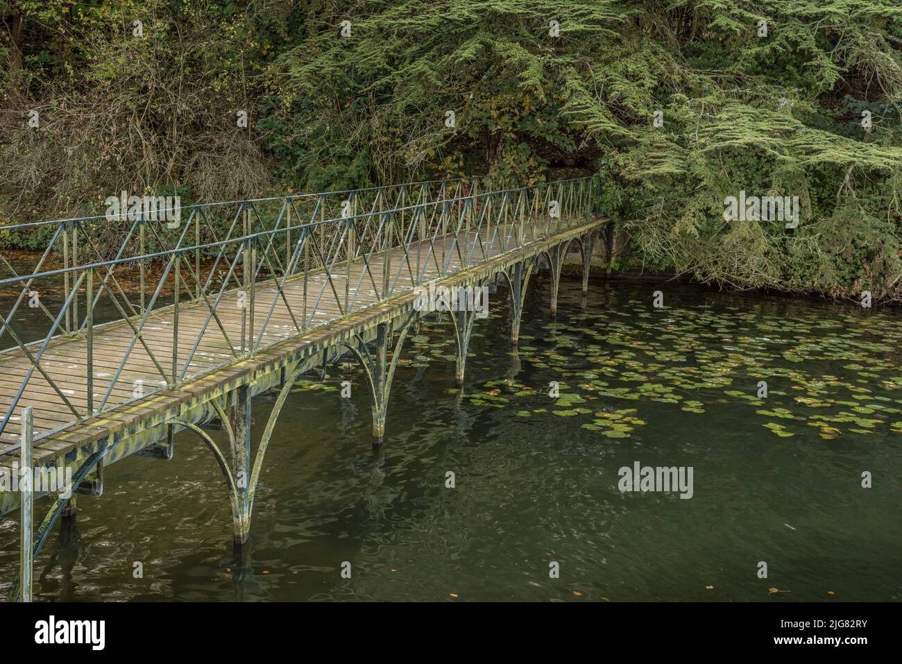 A bridge over water in a green natural place with vegetation Stock ...