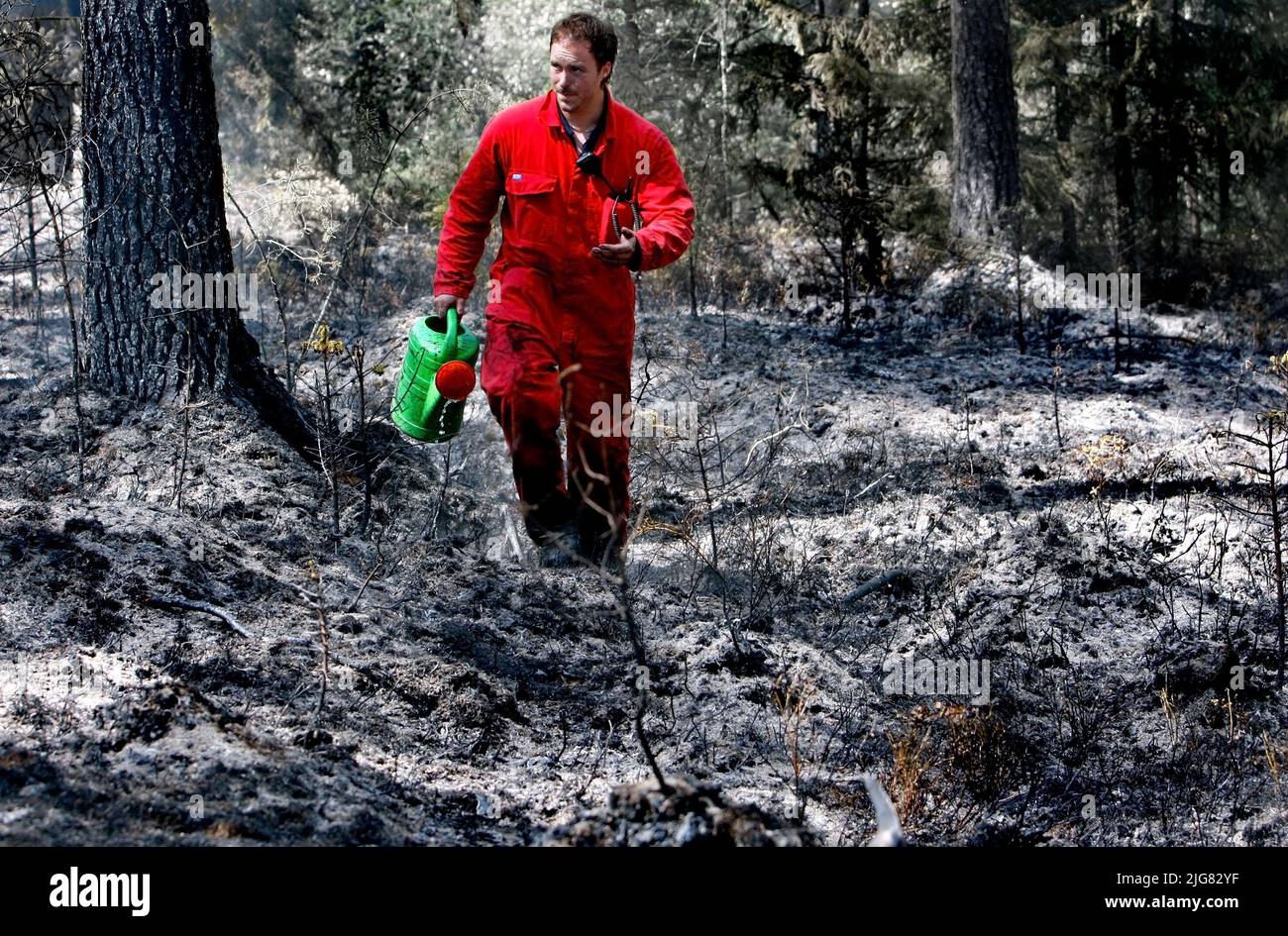 Firefighters fighting a forest fire in the summer heat Stock Photo - Alamy