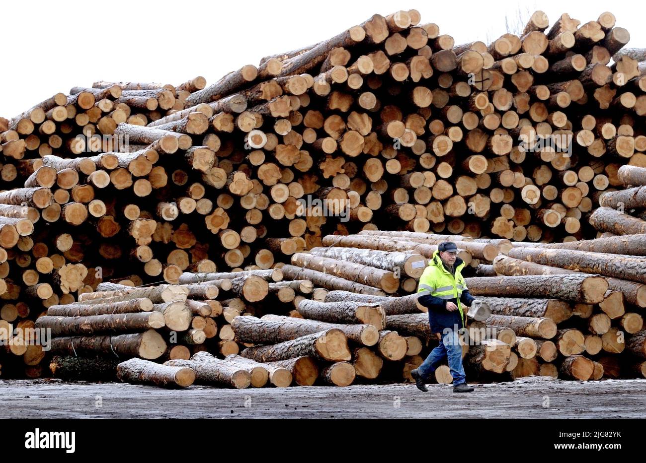 Timmerhantering hi-res stock photography and images - Alamy