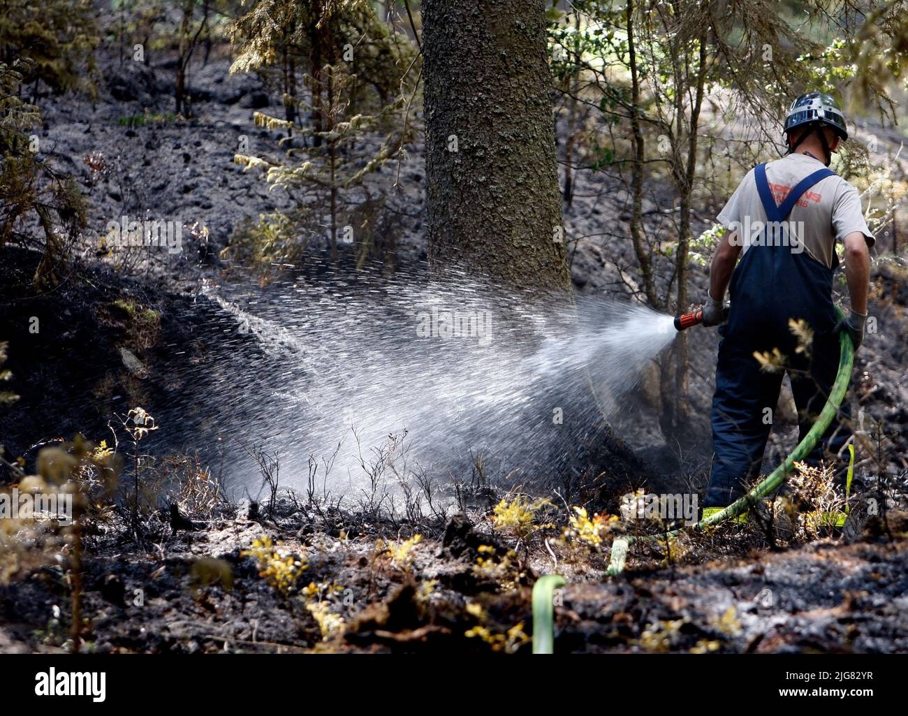 Firefighters fighting a forest fire in the summer heat Stock Photo - Alamy