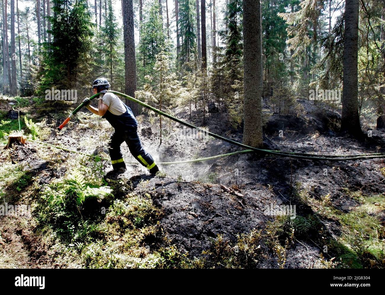 Firefighters fighting a forest fire in the summer heat Stock Photo - Alamy