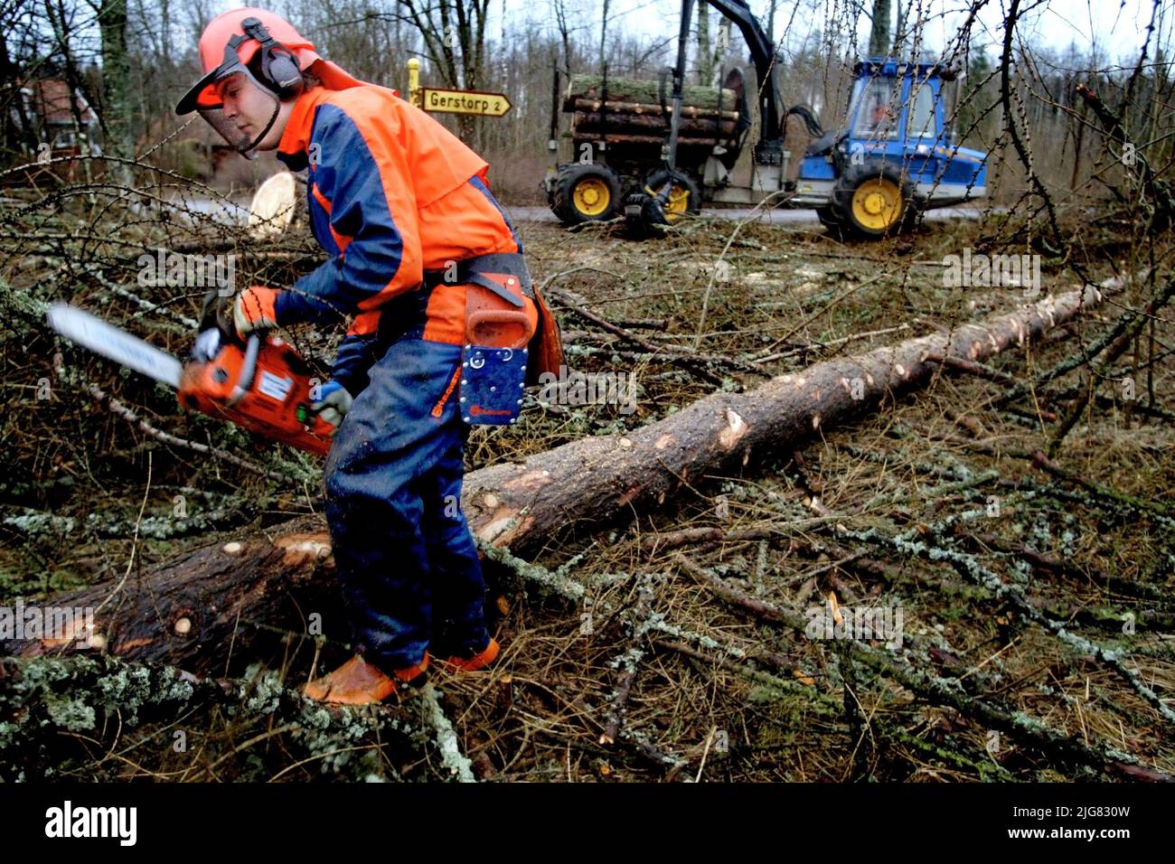 After Storm Gudrun, Linköping, Sweden Stock Photo - Alamy