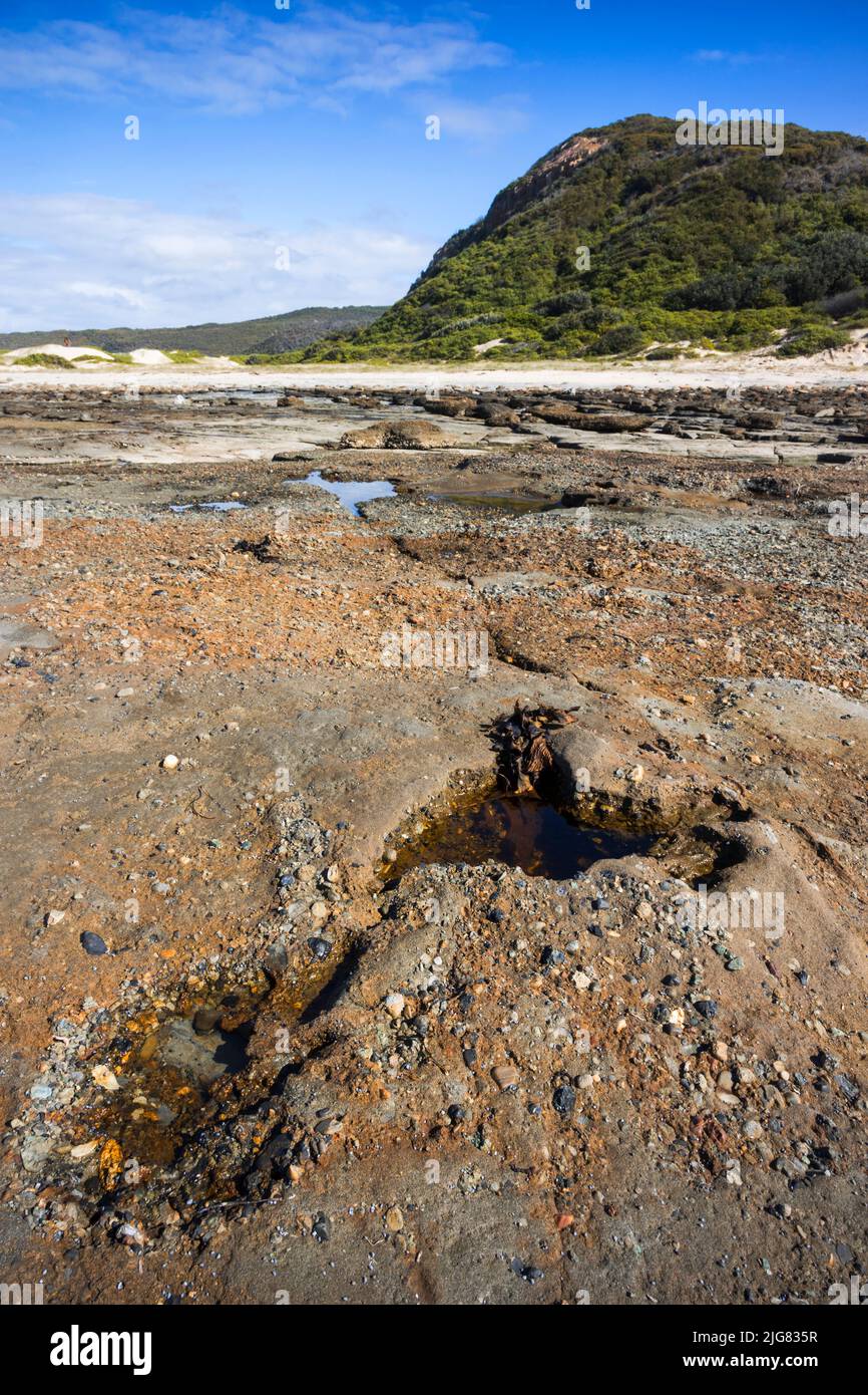cracks in the rock at a beach on the nsw central coast Australia with ...