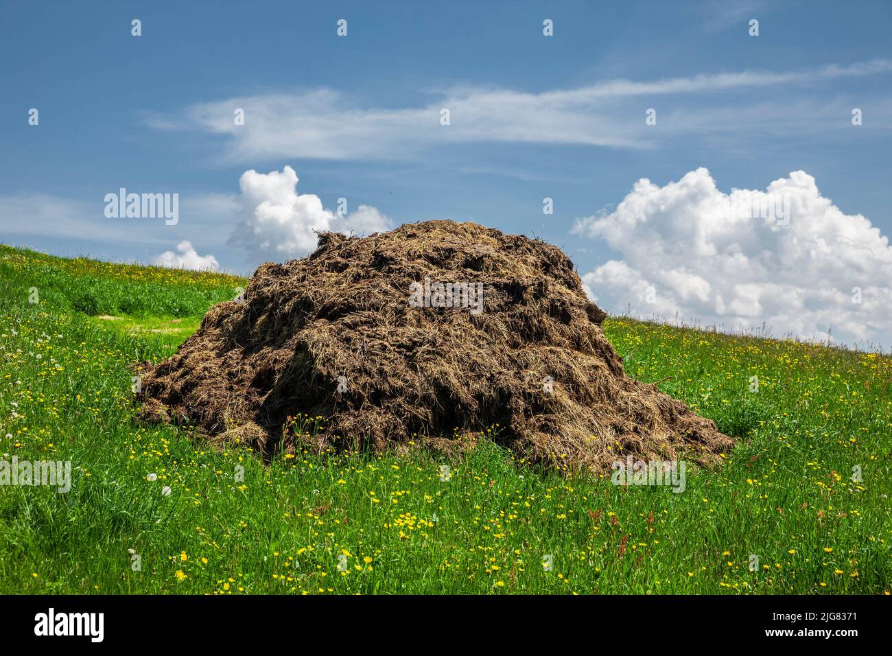 Heap of dung hi-res stock photography and images - Alamy