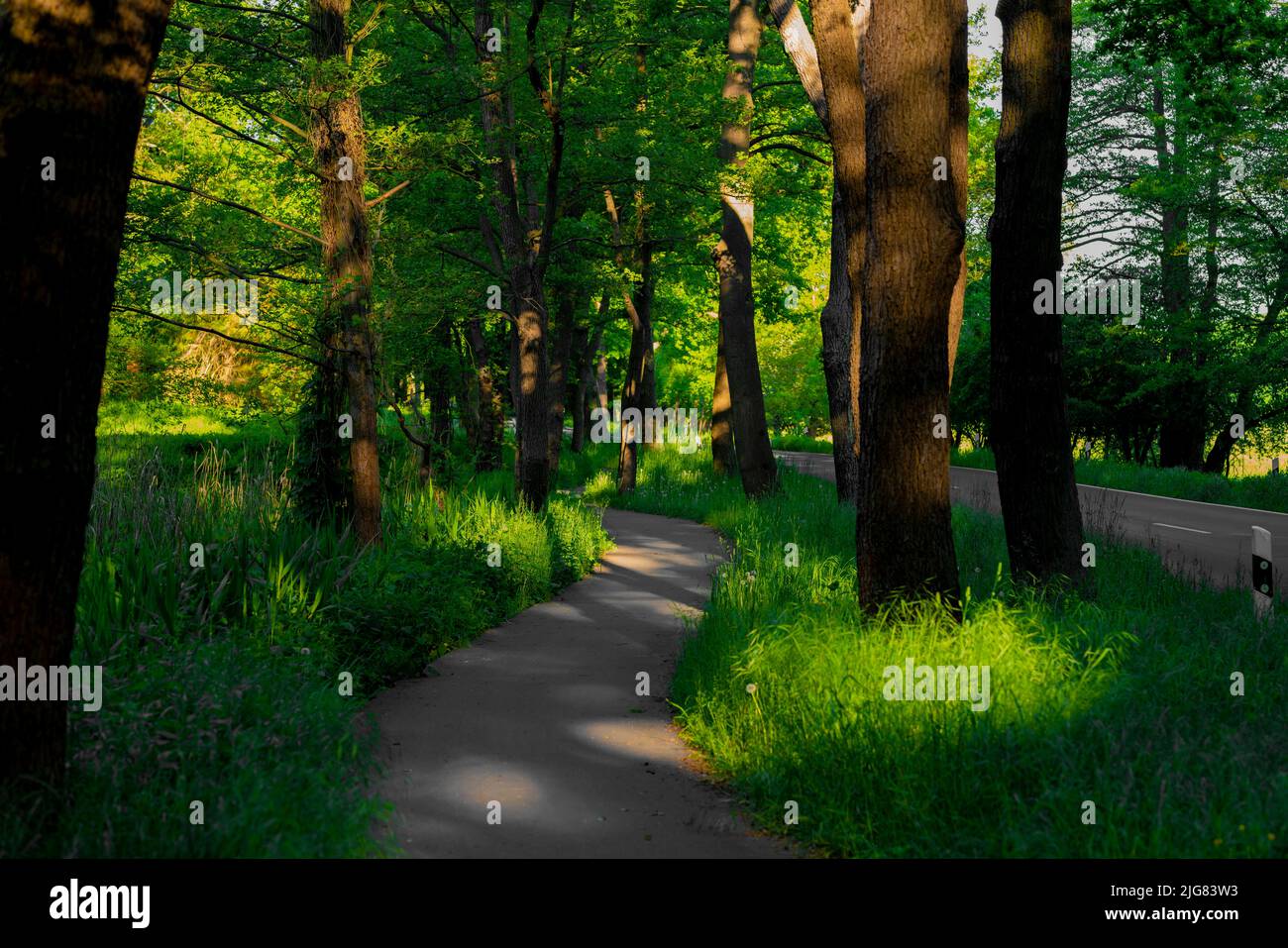 Cycle path next to a country road in summer, shallow depth of field ...