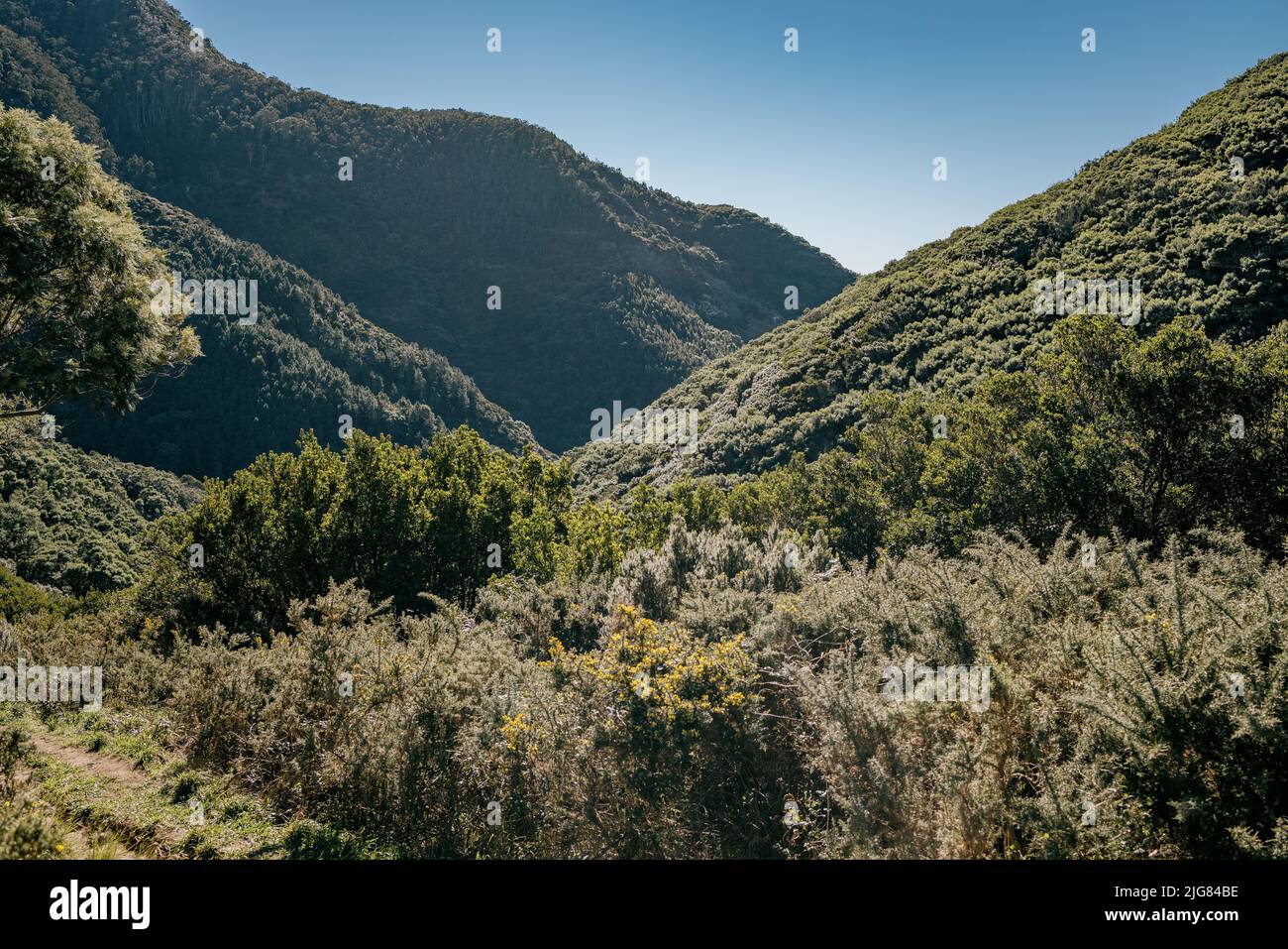 A natural landscape of hills covered in greenery Stock Photo - Alamy
