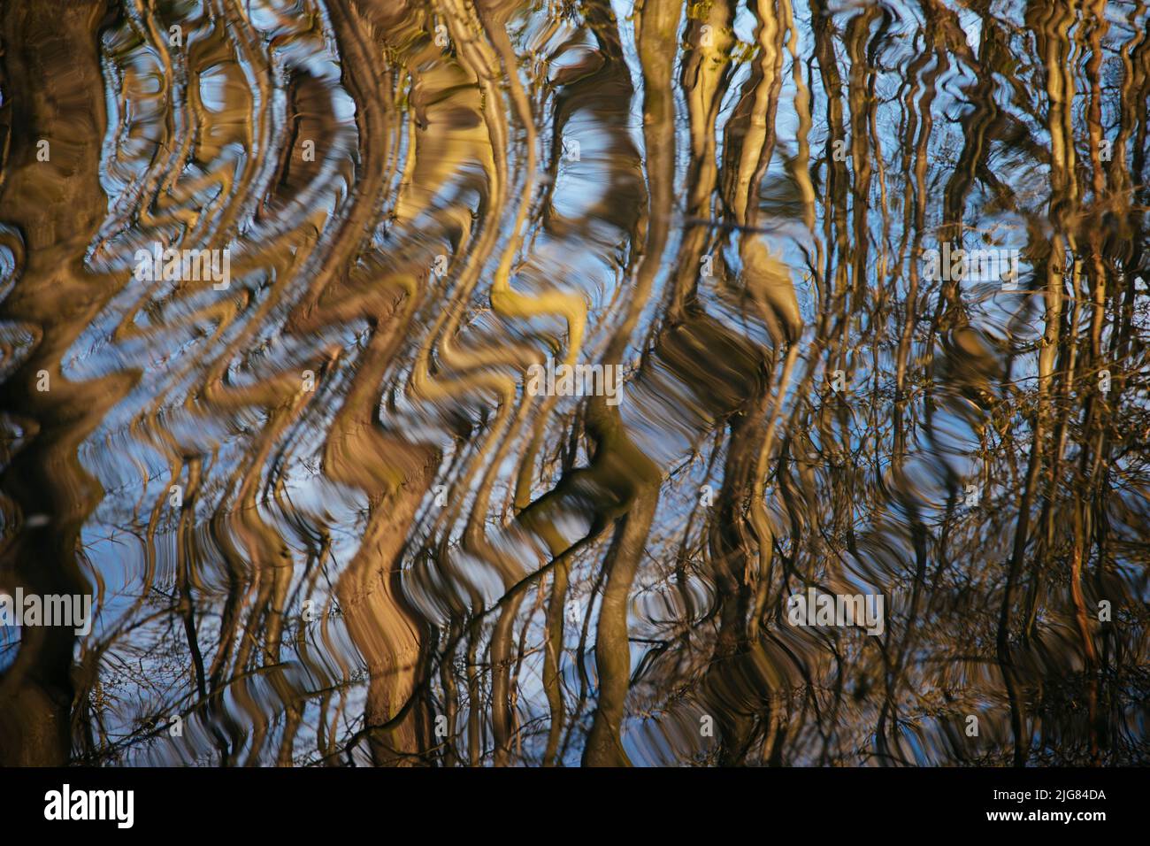 Reflection trees hi-res stock photography and images - Alamy