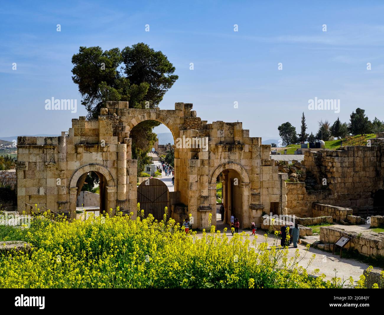 Jerash jordan flowers hi-res stock photography and images - Alamy