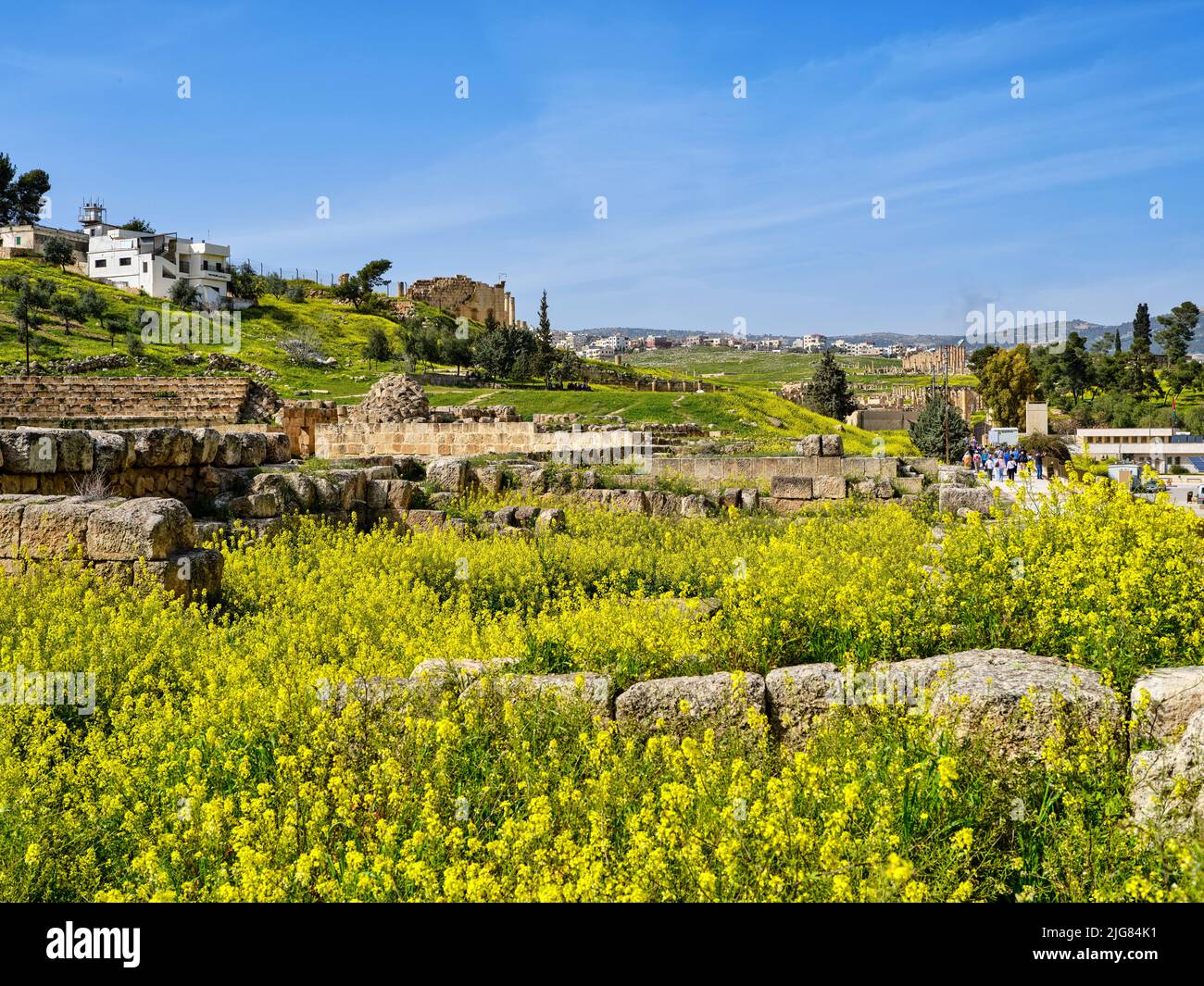 Jerash jordan flowers hi-res stock photography and images - Alamy