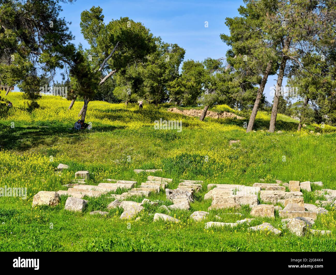 Roman excavations in Jerash, ancient Gerasa, Jordan Stock Photo - Alamy