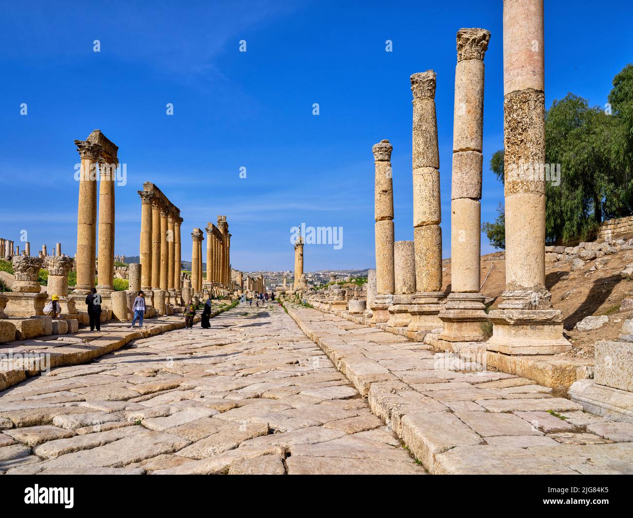 Roman excavations in Jerash, ancient Gerasa, Jordan Stock Photo - Alamy