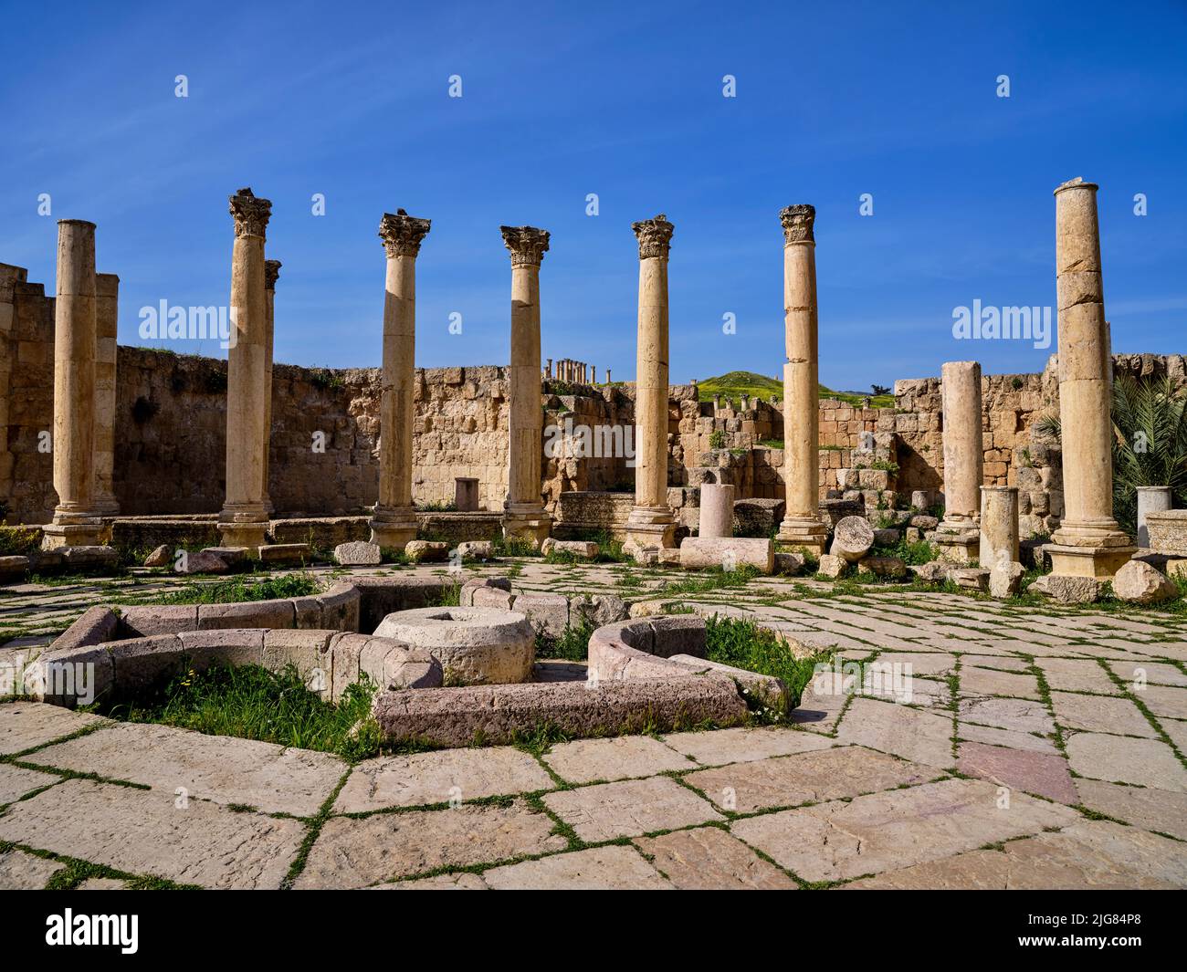 Roman excavations in Jerash, ancient Gerasa, Jordan Stock Photo - Alamy