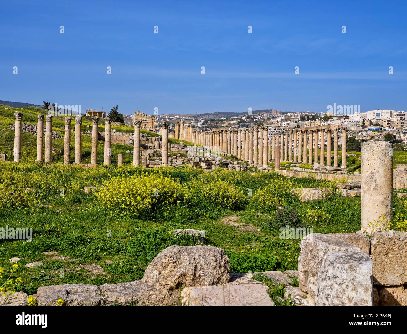 Roman excavations in Jerash, ancient Gerasa, Jordan Stock Photo - Alamy