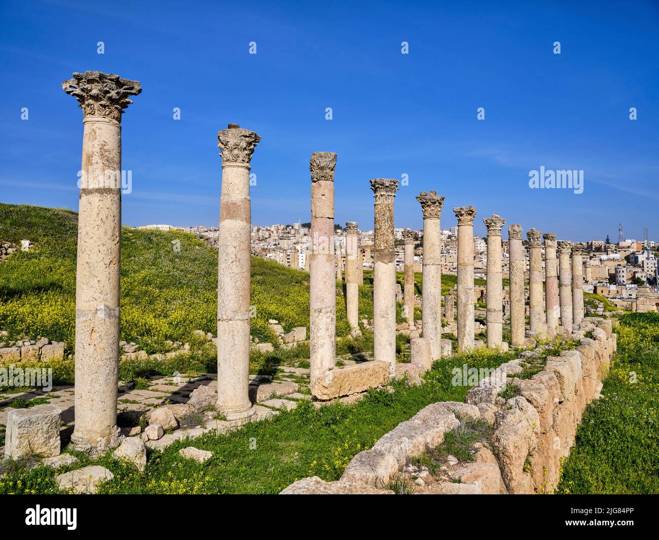 Roman excavations in Jerash, ancient Gerasa, Jordan Stock Photo - Alamy