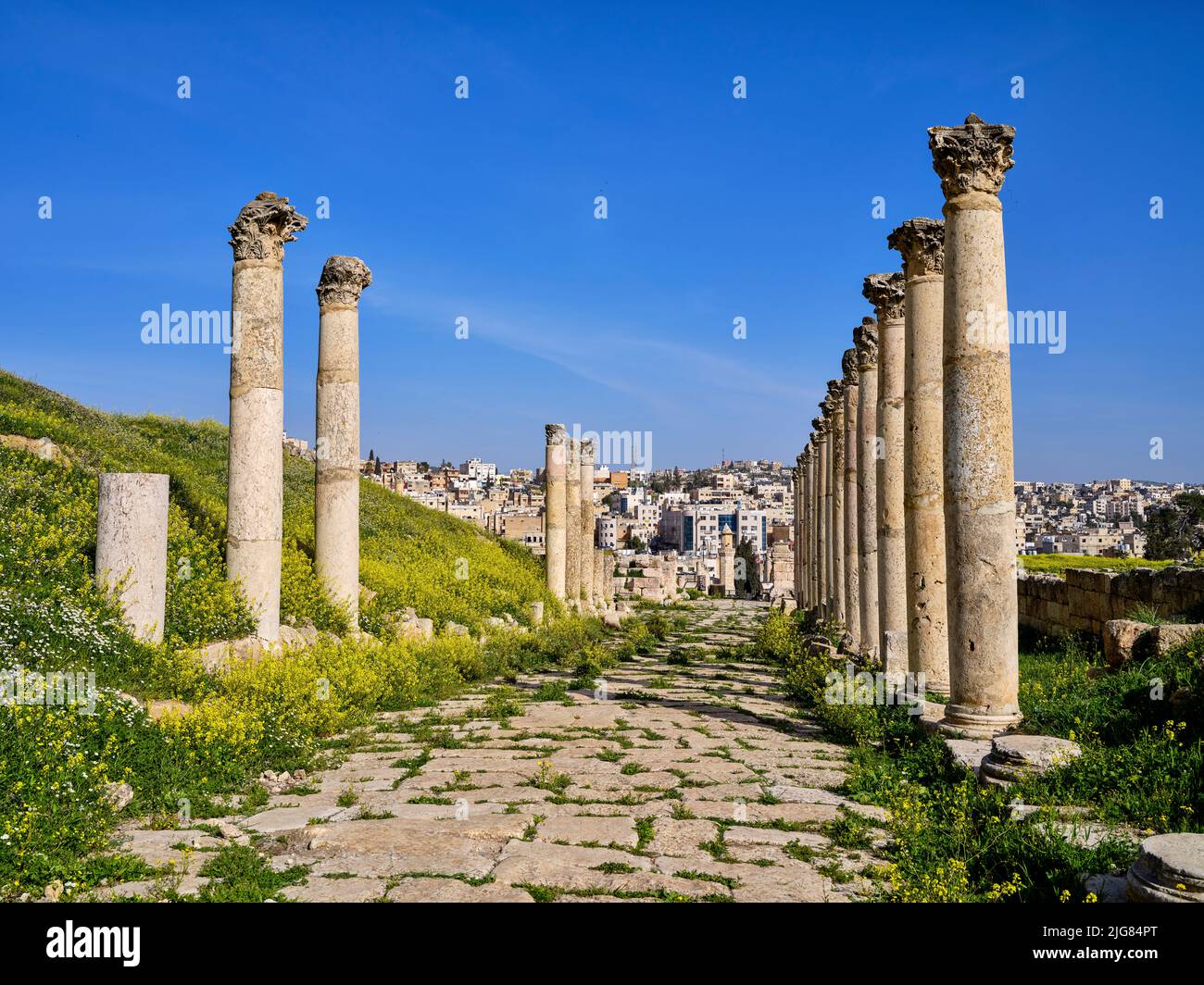 Roman excavations in Jerash, ancient Gerasa, Jordan Stock Photo - Alamy