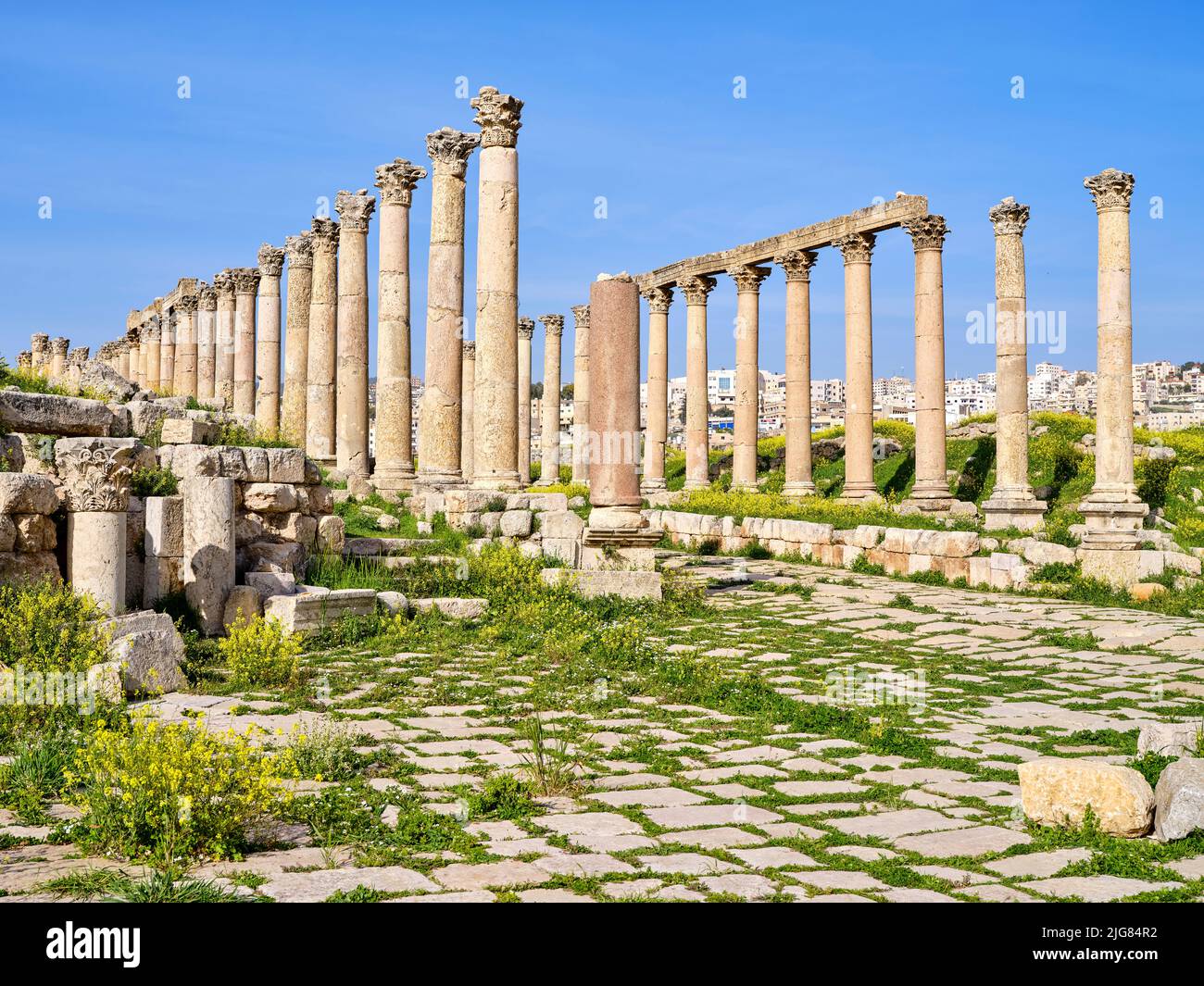 Roman excavations in Jerash, ancient Gerasa, Jordan Stock Photo - Alamy