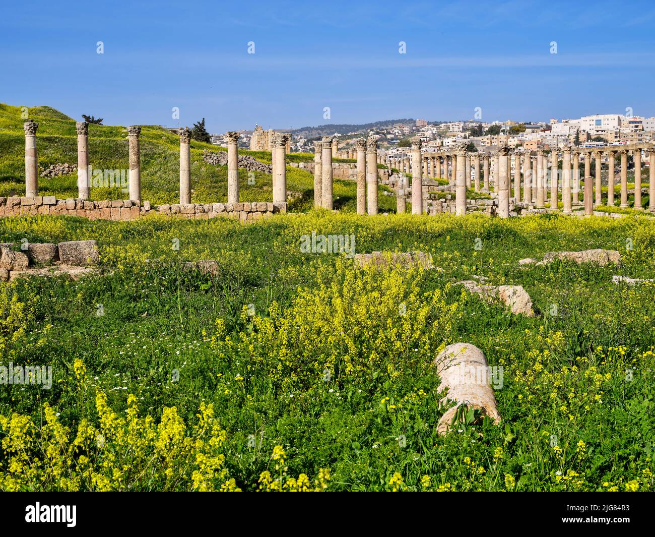 Roman excavations in Jerash, ancient Gerasa, Jordan Stock Photo - Alamy