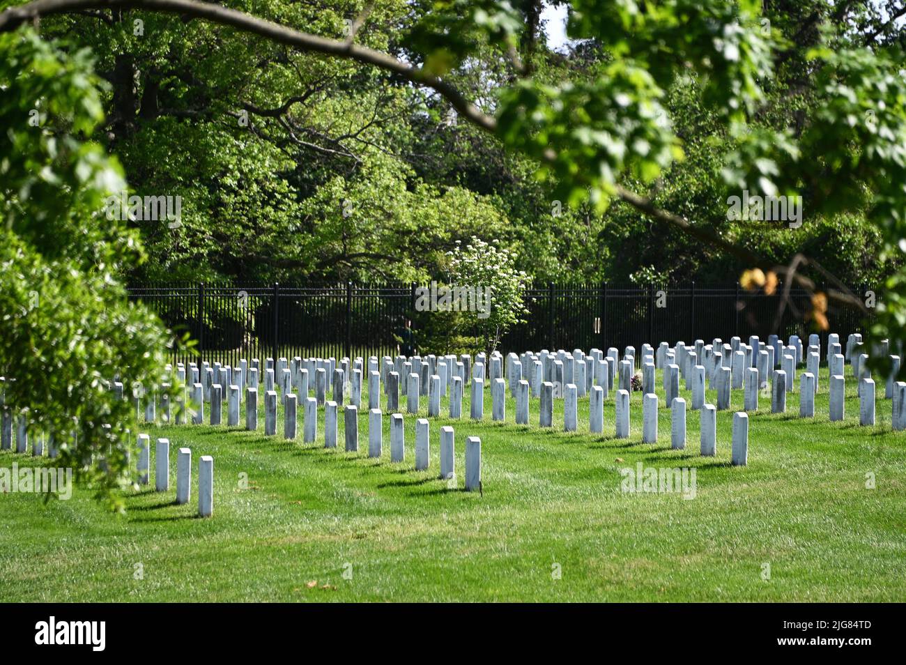 Gravestones at Arlington National Cemetery; Washington D.C Stock Photo ...