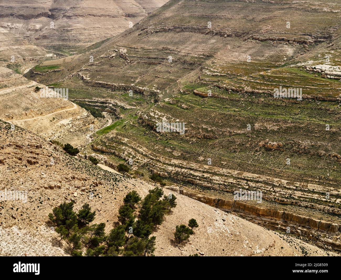 On the road in Wadi bin Hammad, Jordan Stock Photo - Alamy
