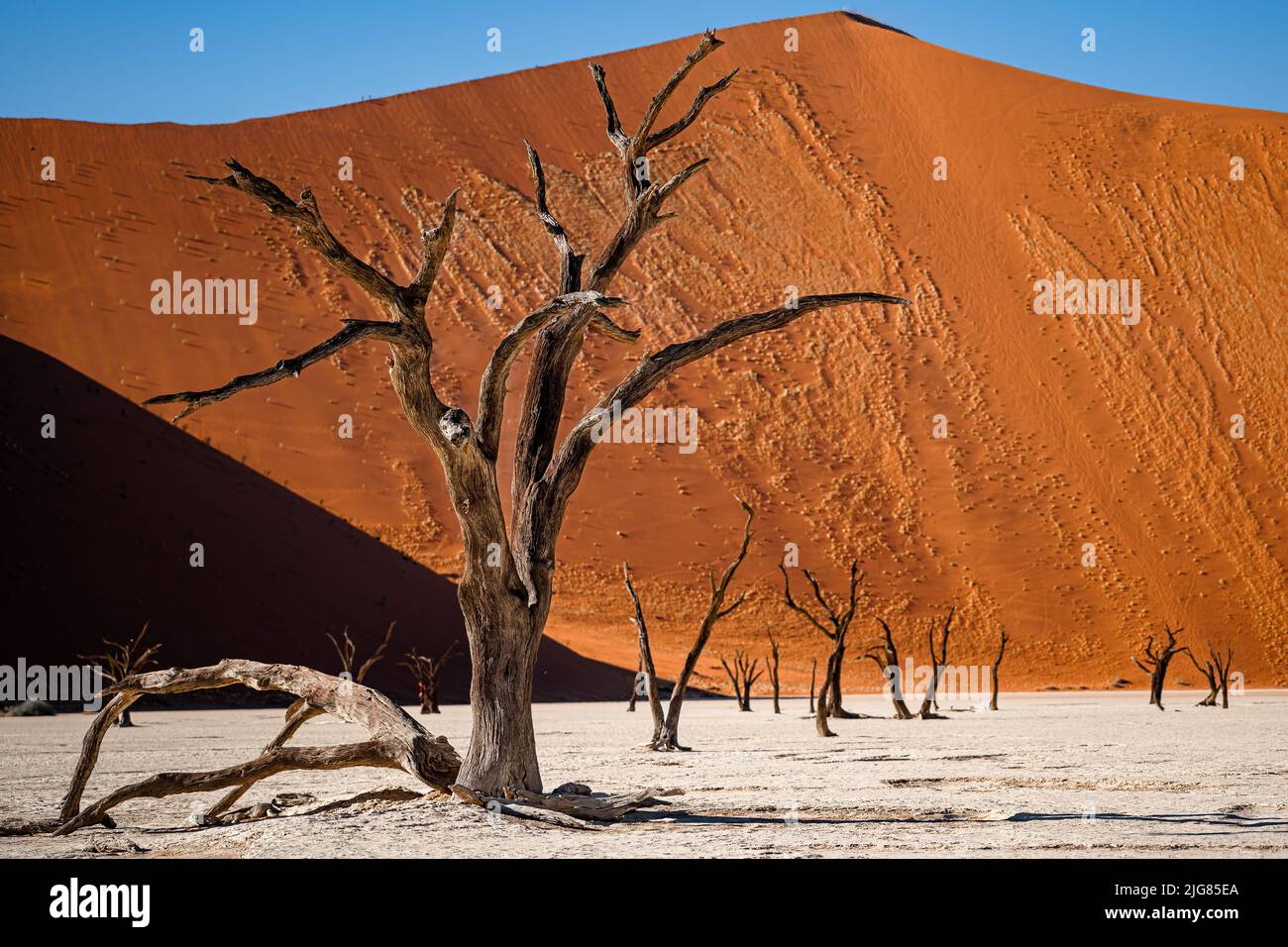 A scenic landscape in Deadvlei, Namib Desert, Namibia Stock Photo - Alamy